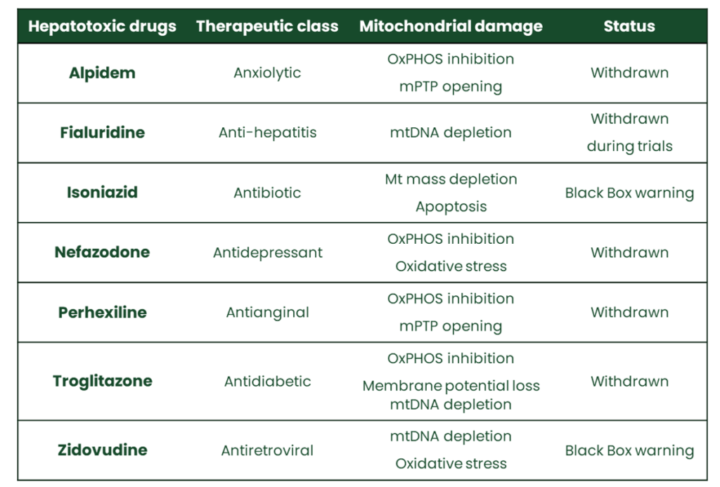Hepatotoxicity - Mitologics